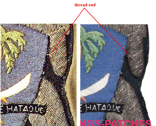 Comparative Photos of Schroeder Patch